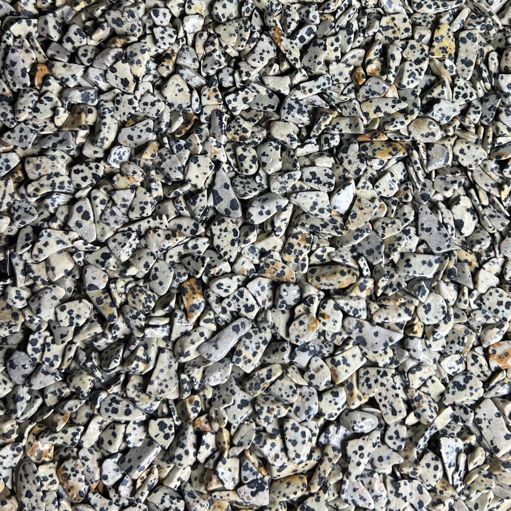 Dalmatian Jasper Chips – Mystic Minerals by Meg